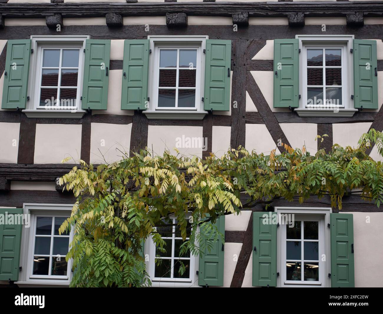 Half-timbered house with green shutters and decorative vines on the ...