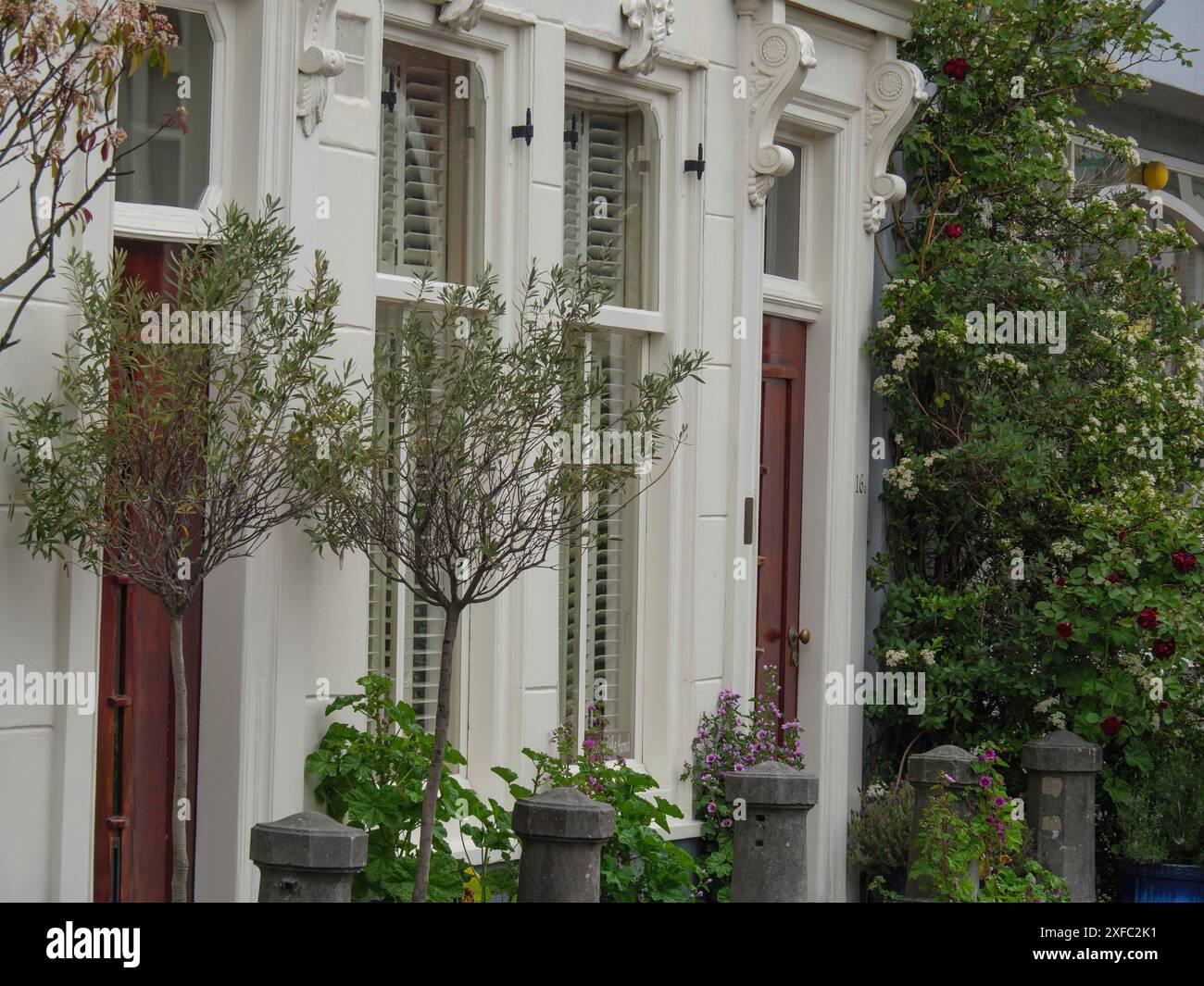 White windows and doors of a house with green plants and climbing ...