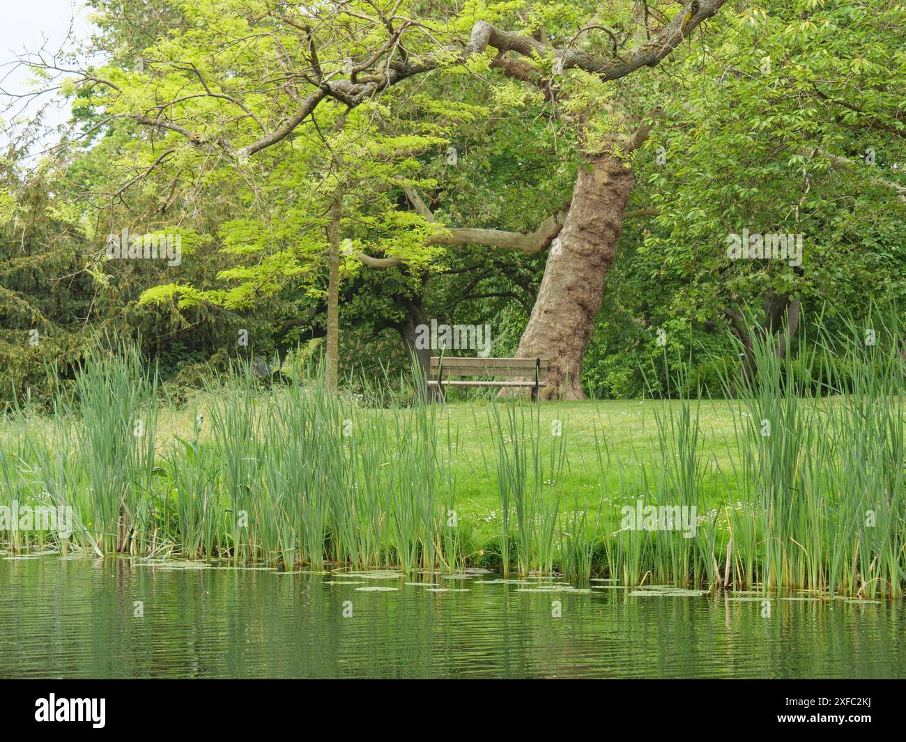 Enjoying nature peaceful hi-res stock photography and images - Alamy