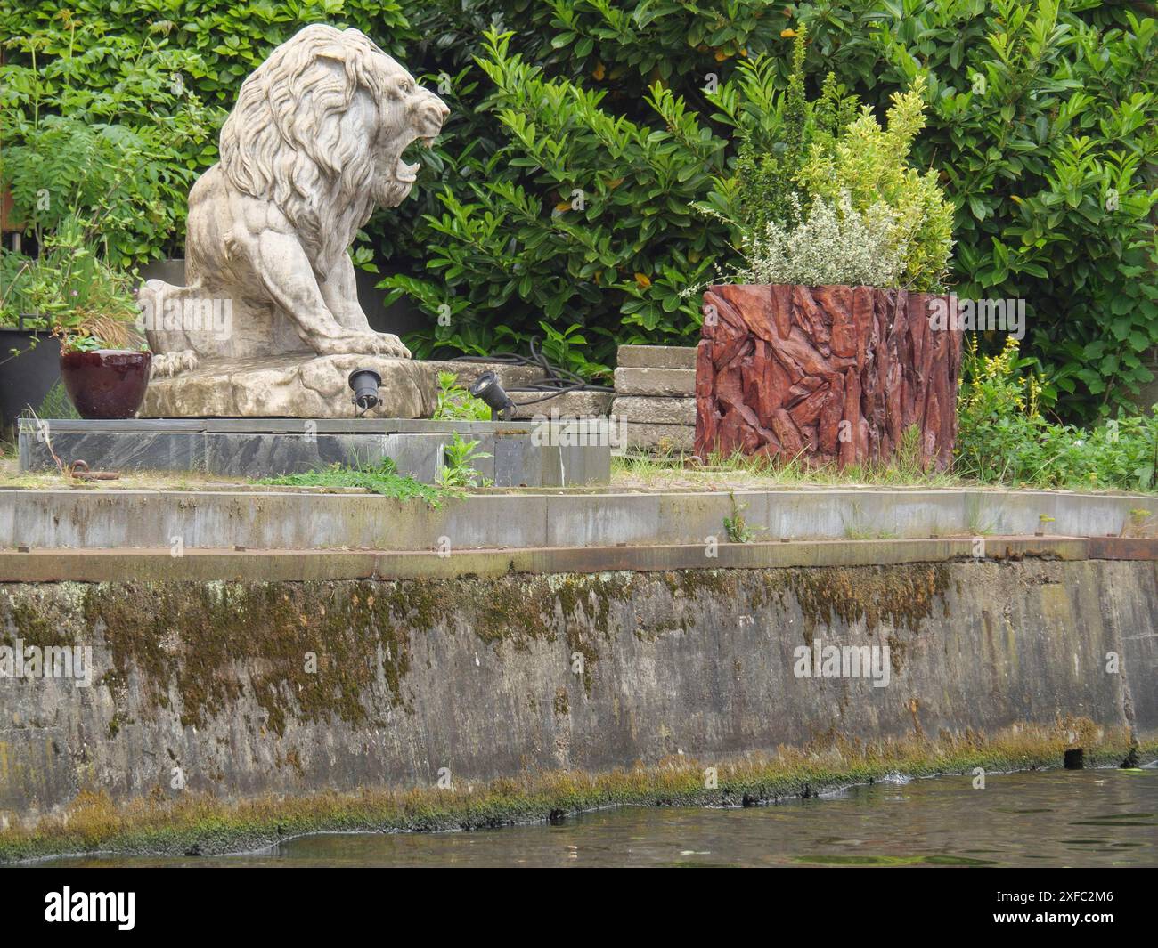 Stone statue of a lion on an overgrown and watered stone bank ...