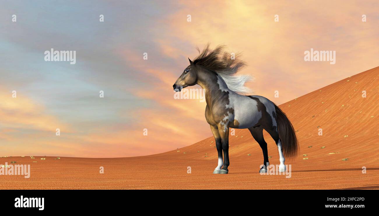 The Mustang is a wild free-roaming horse of the Western United States ...