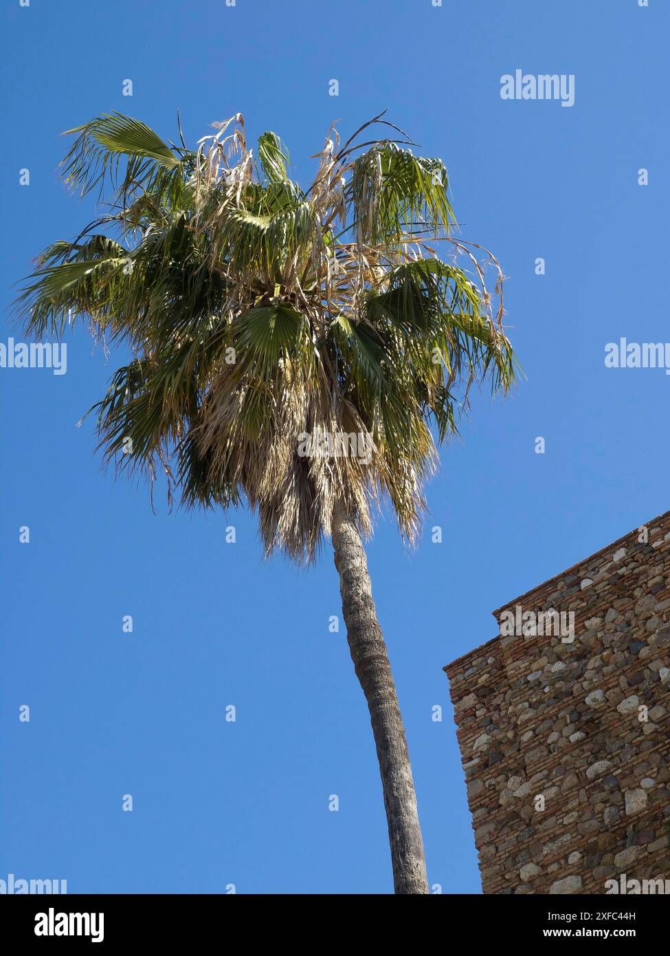 High rises malaga hi-res stock photography and images - Alamy
