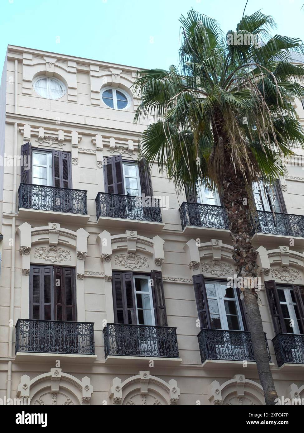 City building with balconies and a palm tree standing next to it ...