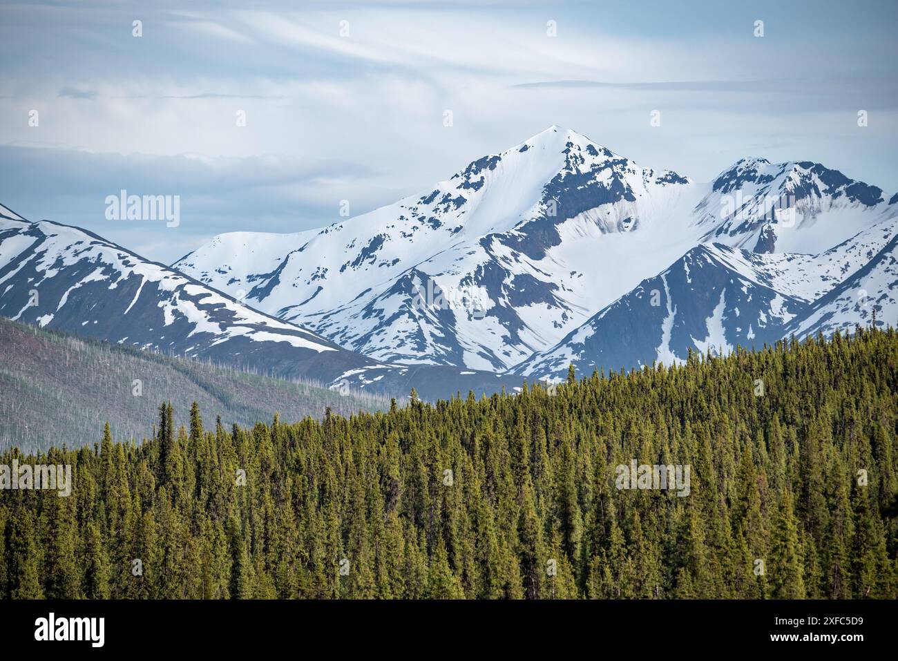 Beautiful snow capped mountain close up taken in the summer in Yukon ...