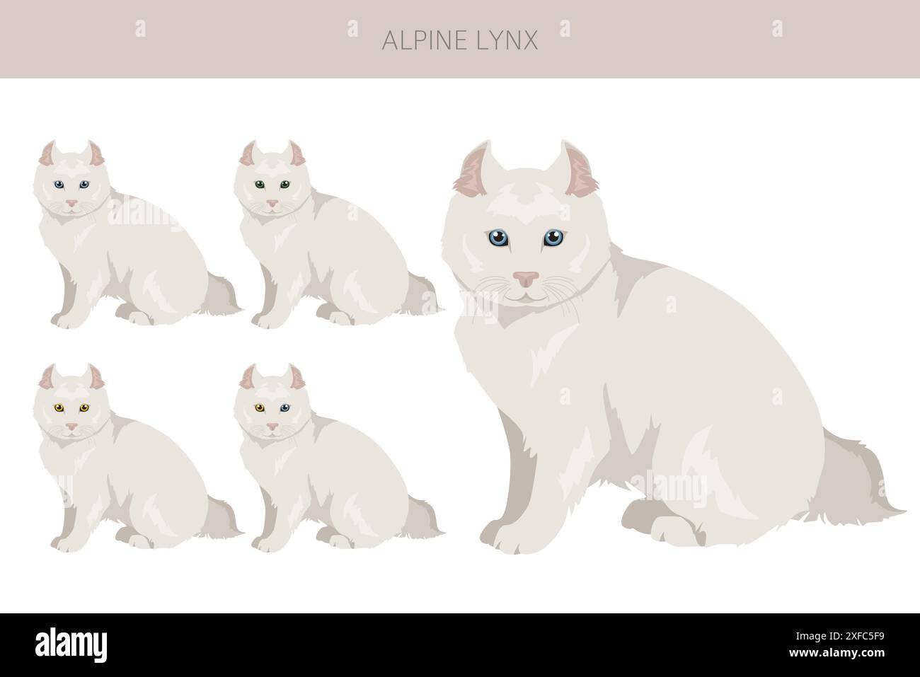 Alpine Lynx clipart. Highlander, All coat colors set. All cat breeds ...