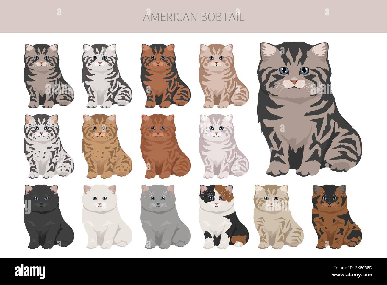 American Bobtail cat clipart. All coat colors set. All cat breeds ...