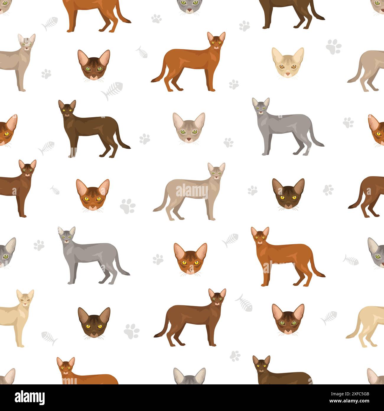 Abyssinian cat seamless pattern. All coat colors set. All cat breeds ...