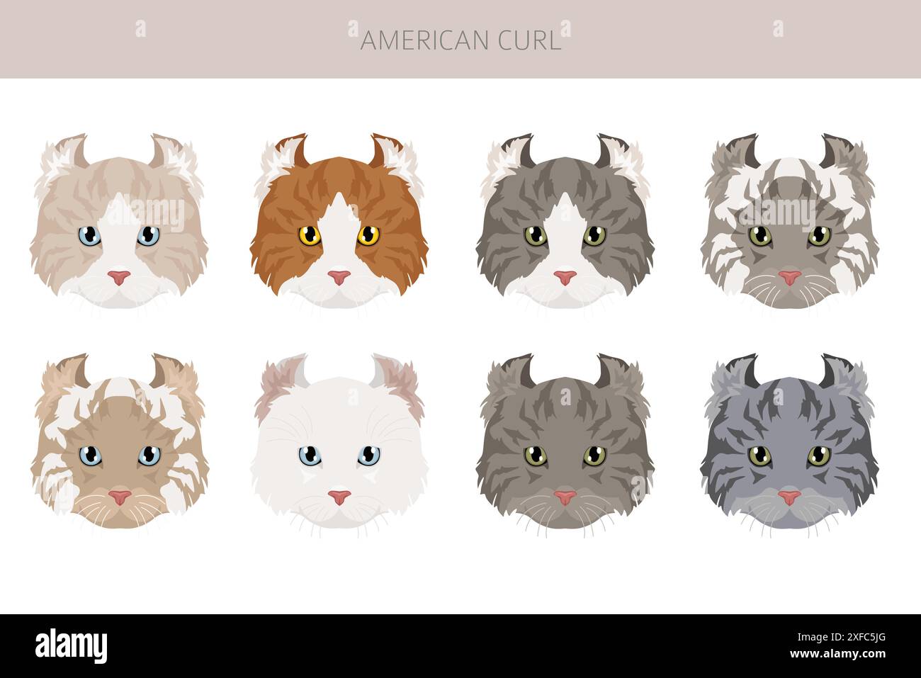 American Curl cat clipart. All coat colors set. All cat breeds ...