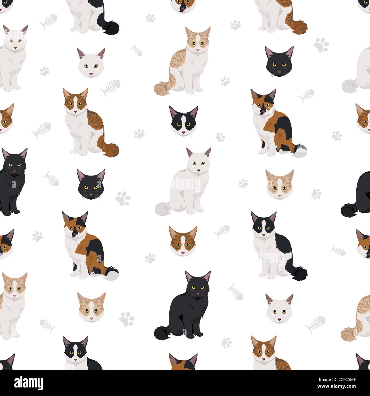 American Polydactyl cat seamless pattern. All coat colors set. All cat ...