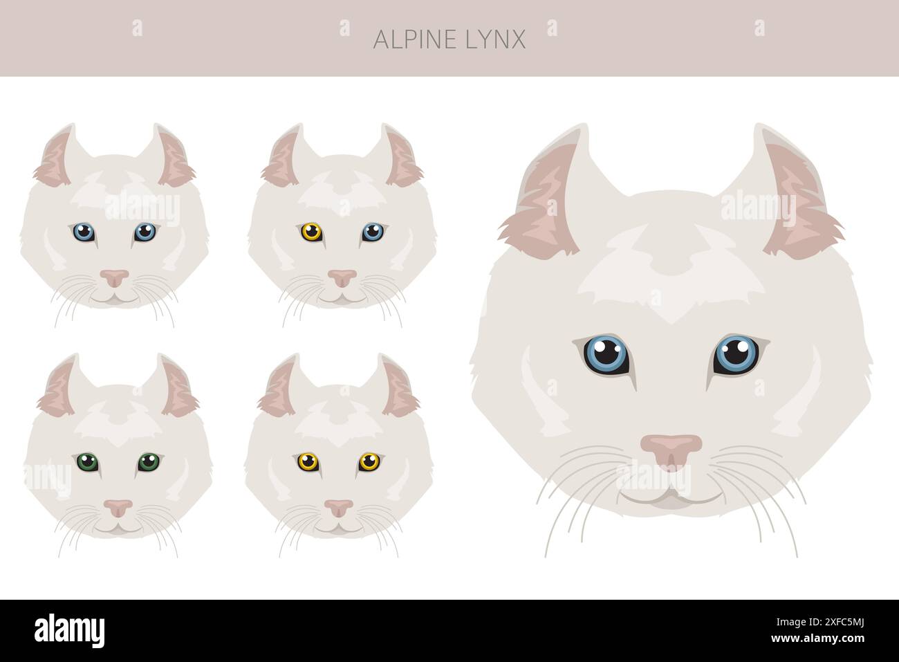 Alpine Lynx clipart. Highlander, All coat colors set. All cat breeds ...