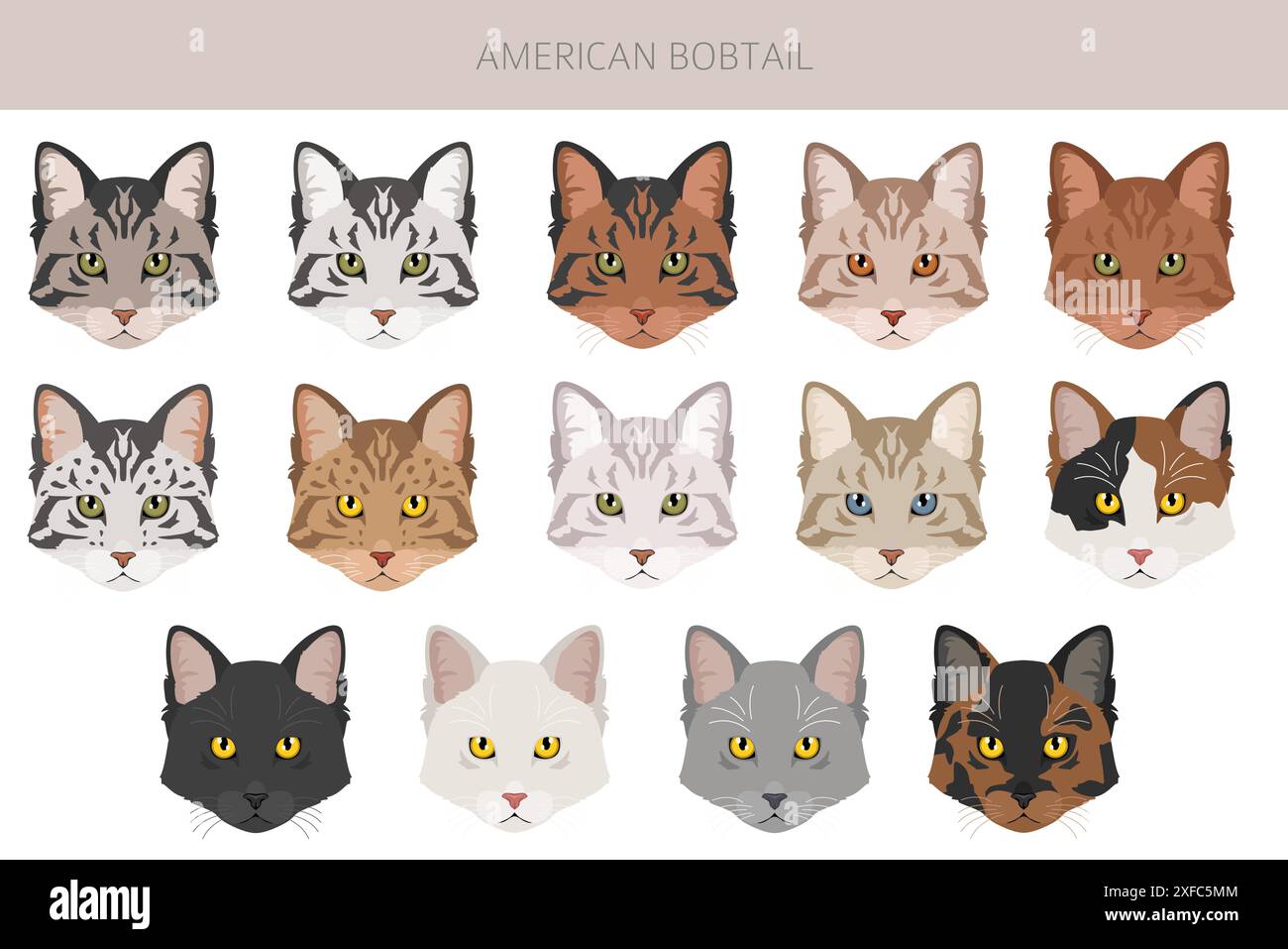 American Bobtail cat clipart. All coat colors set. All cat breeds ...