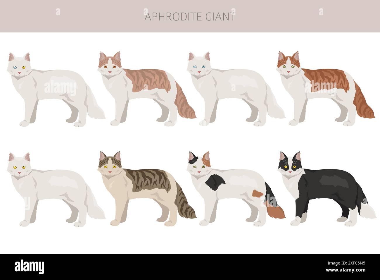 Aphrodite Giant. Cyprus cat clipart. All coat colors set. All cat ...