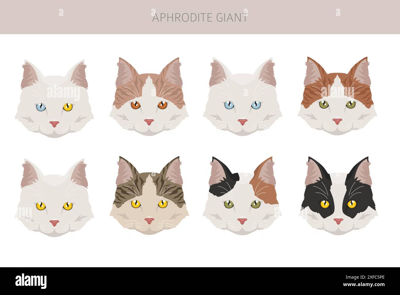 Aphrodite Giant. Cyprus cat clipart. All coat colors set. All cat ...