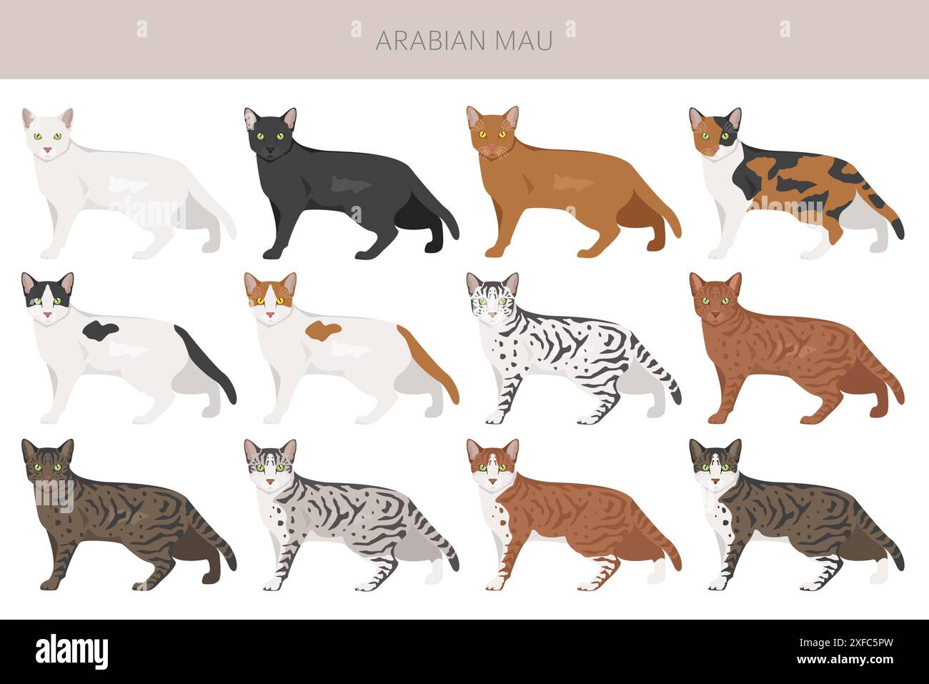 Arabian Mau cat clipart. All coat colors set. All cat breeds ...
