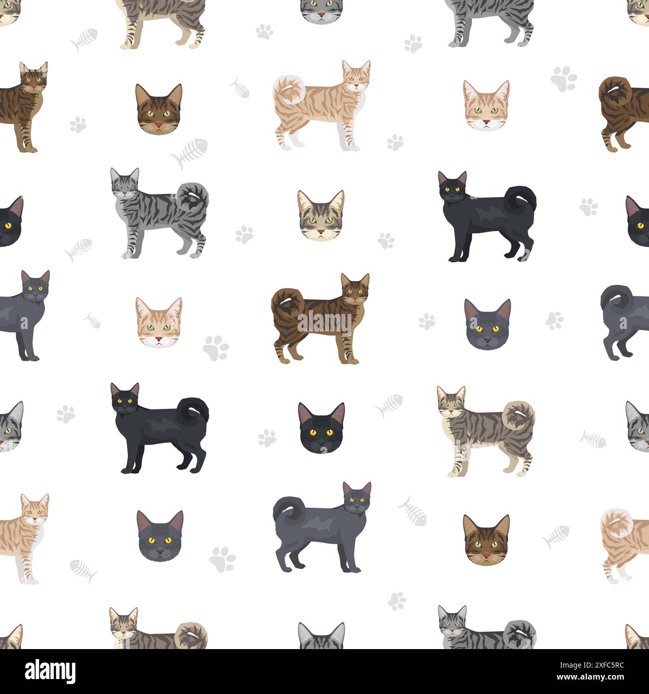 American Ringtail cat seamless pattern. All coat colors set. All cat ...
