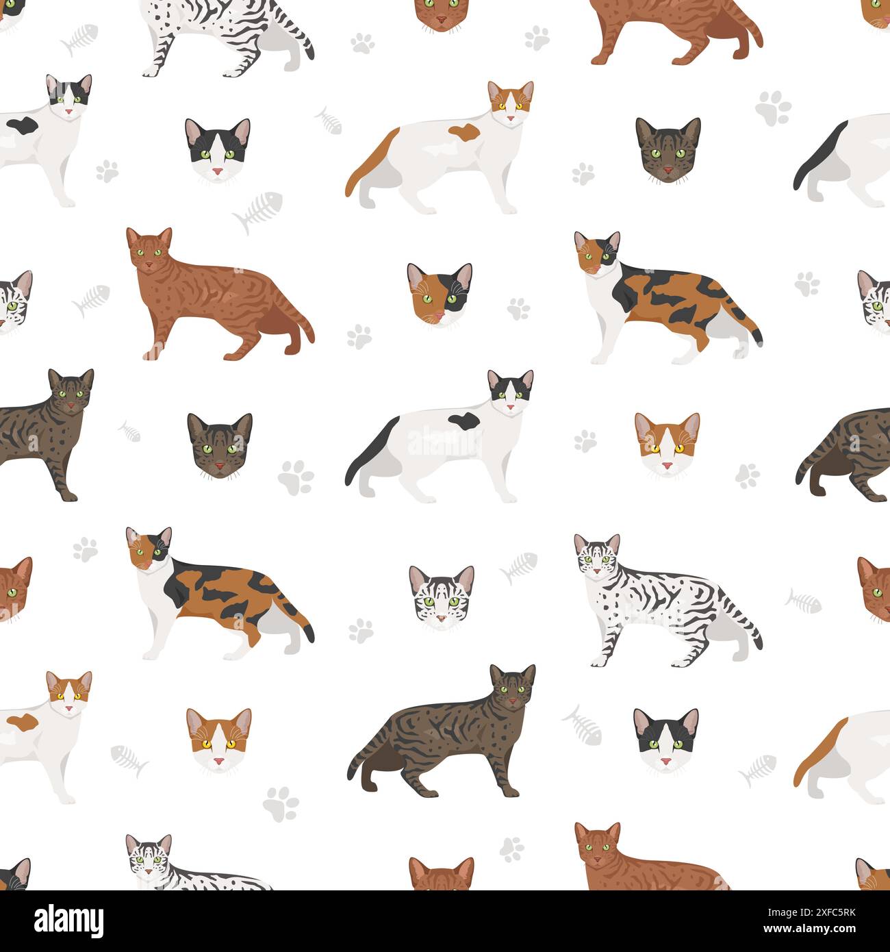 Mau vector hi-res stock photography and images - Alamy