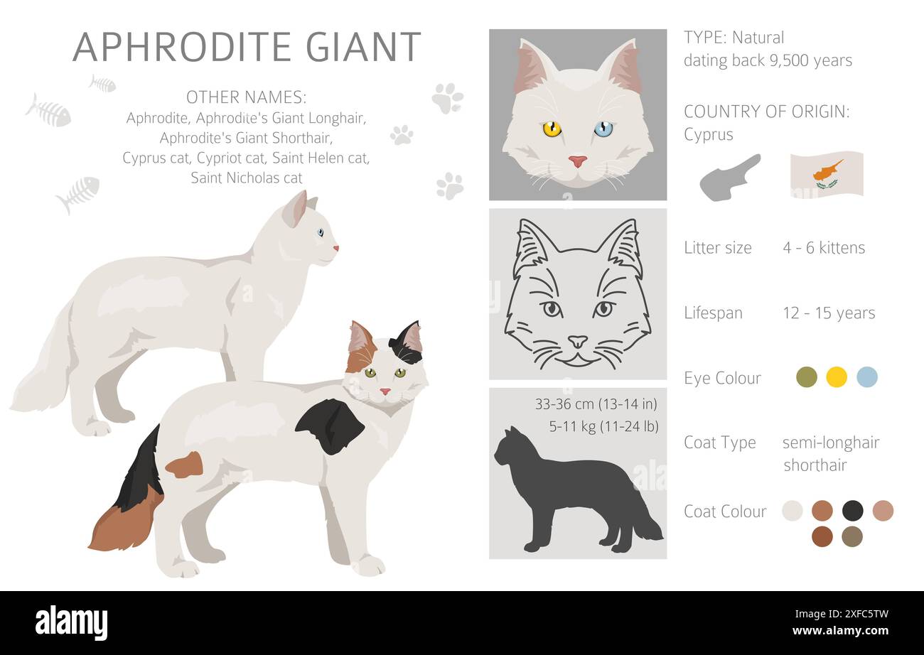 Aphrodite Giant. Cyprus cat clipart. All coat colors set. All cat ...
