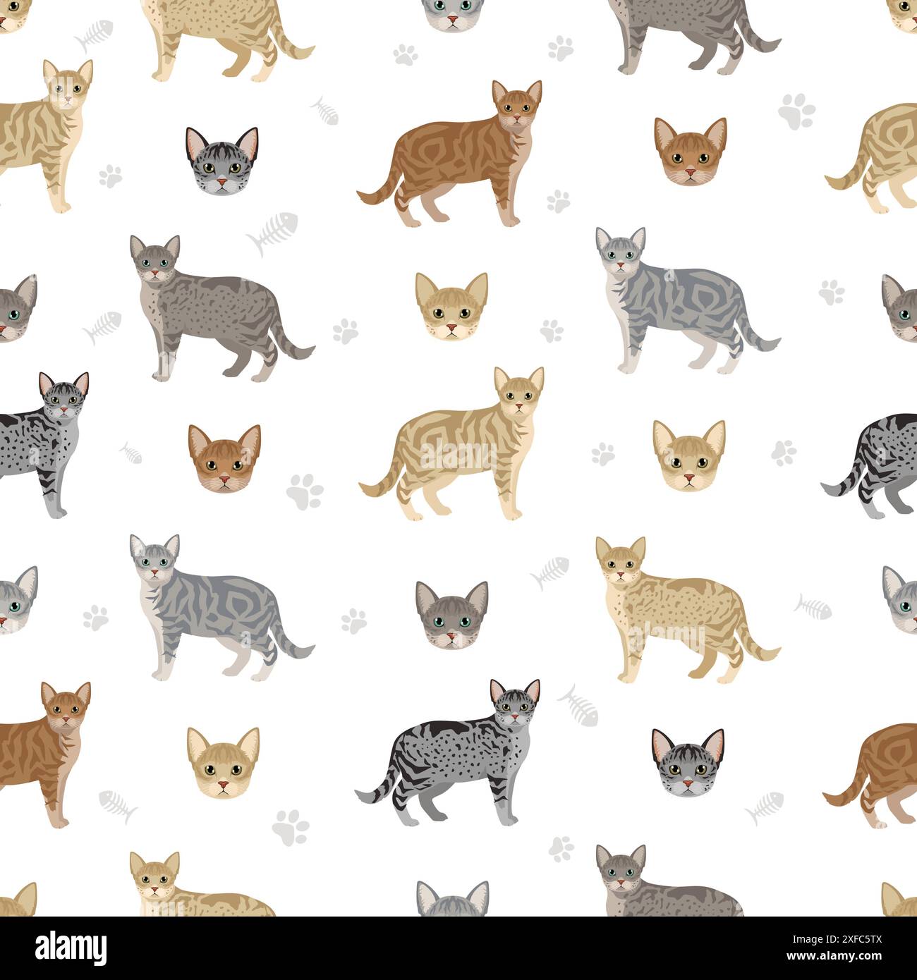 Australian Mist cat seamless pattern. All coat colors set. All cat ...