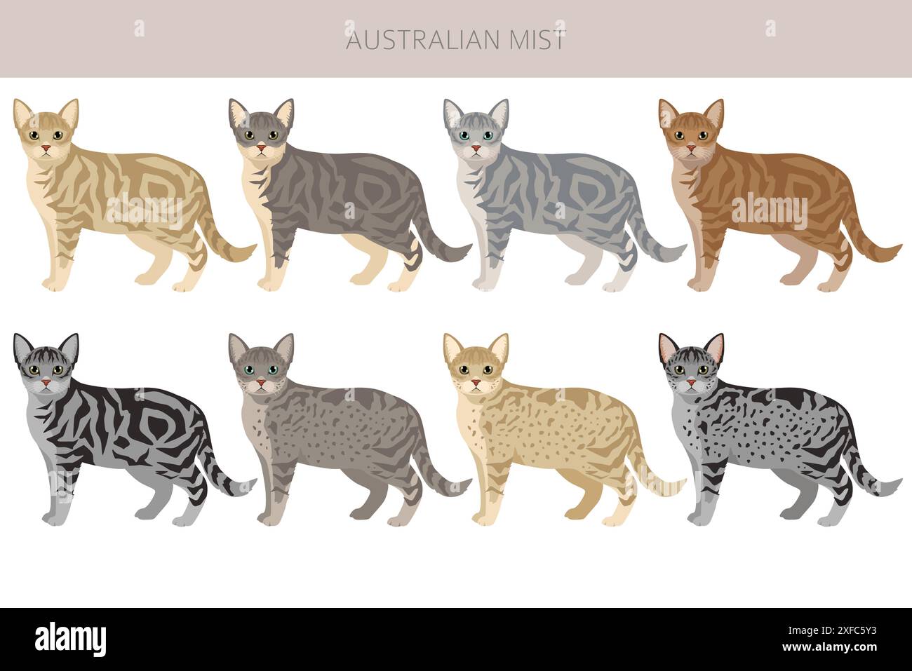 Australian Mist cat clipart. All coat colors set. All cat breeds ...
