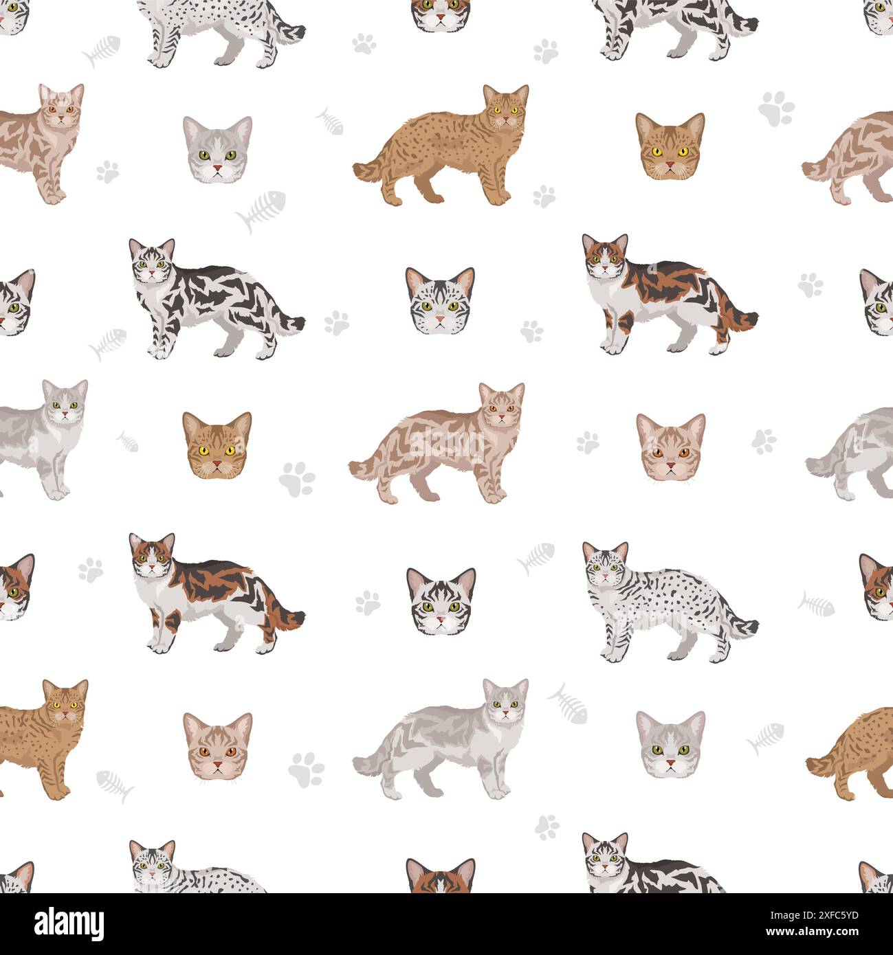 American Wirehair cat seamless pattern. All coat colors set. All cat ...