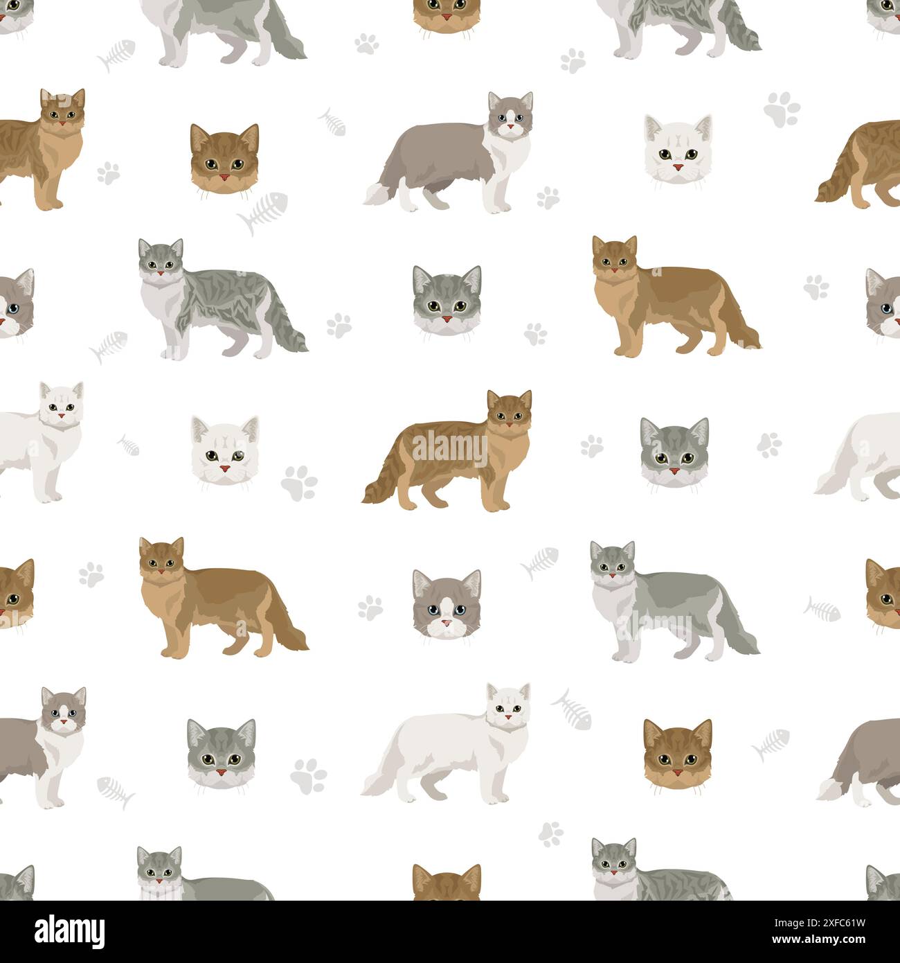 Tiffany Cat, Asian semi-longhair cat Tiffanie seamless pattern. All ...
