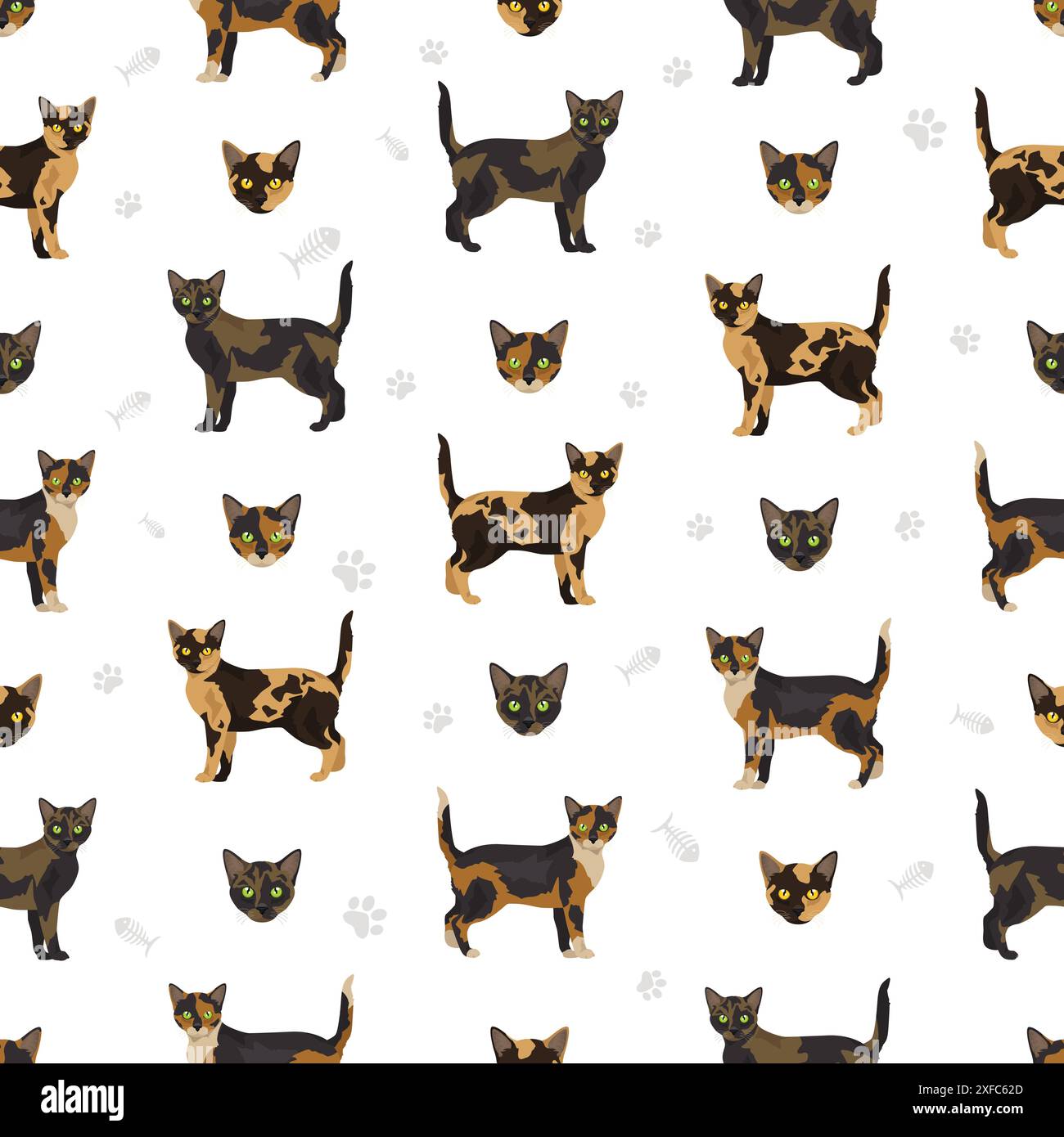 Asian shorthair Tortoiseshell cat seamless pattern. All coat colors ...