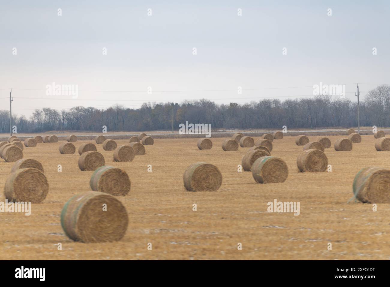 Hay bails on a open country farming field in Manitoba, Canadian prairie ...