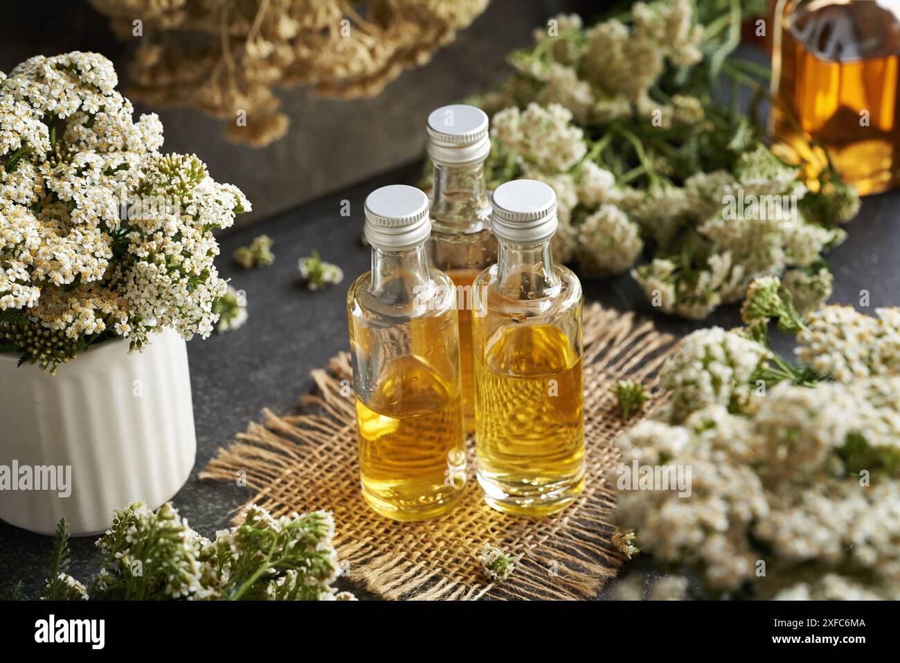 Three bottles of herbal tincture with fresh blooming yarrow or Achillea ...