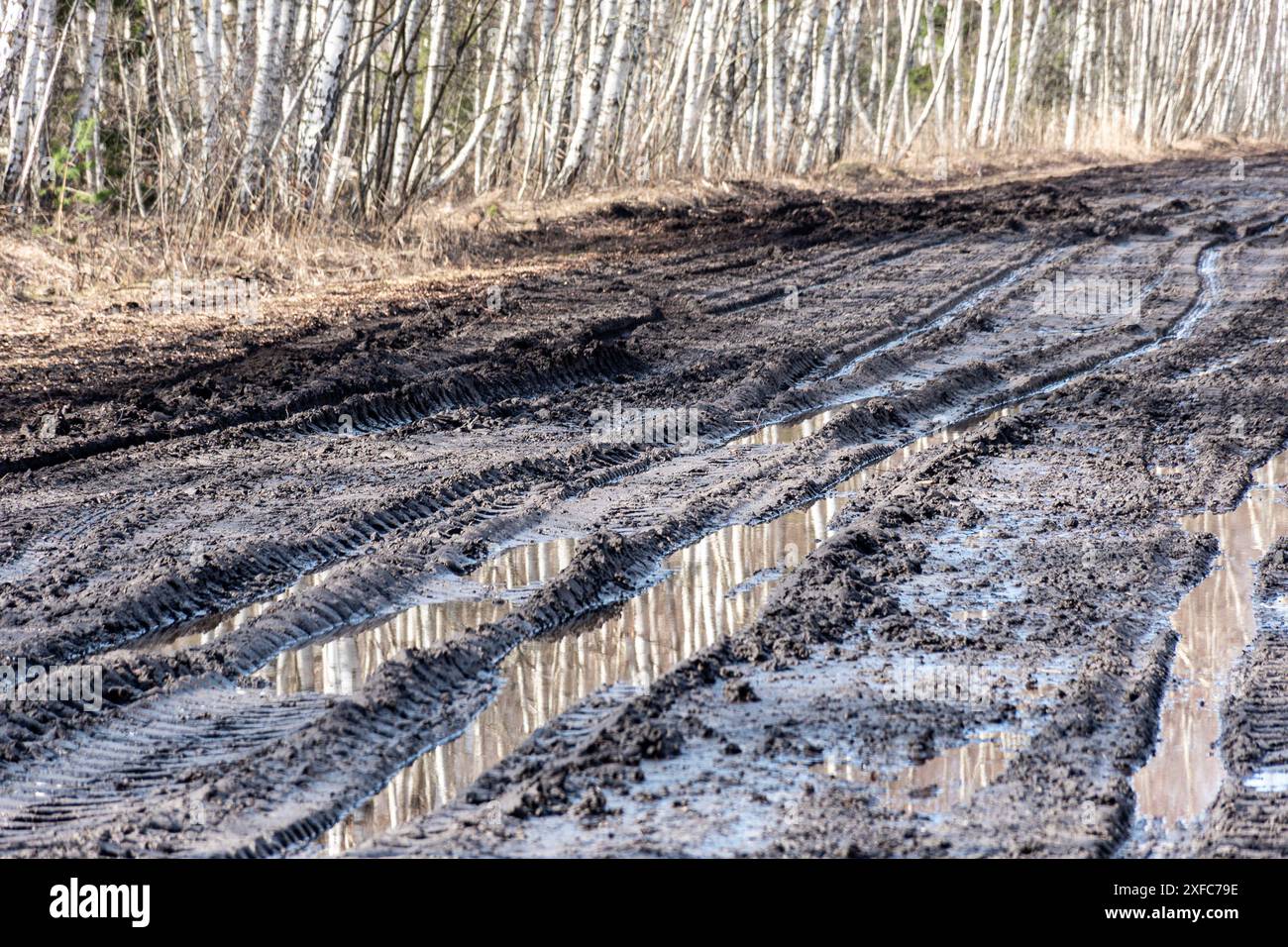 spring landscape with muddy swamp, forest road, spring, dirty wet road ...