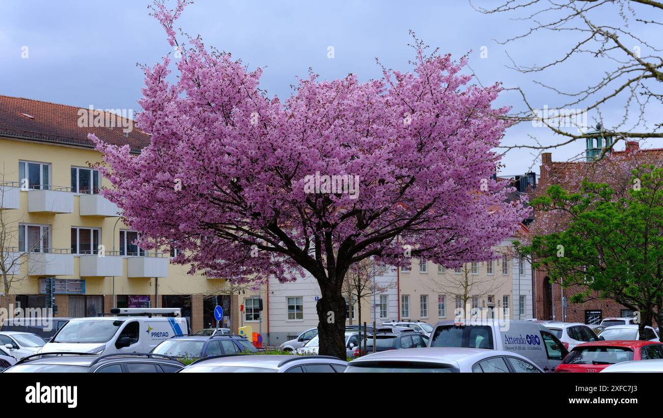 Angelholm hi-res stock photography and images - Alamy