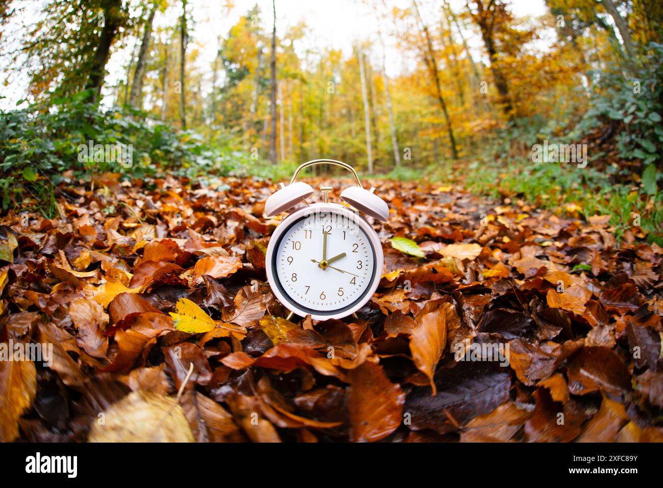 Alarm clock with autumn foliage, end of daylight saving time in fall ...