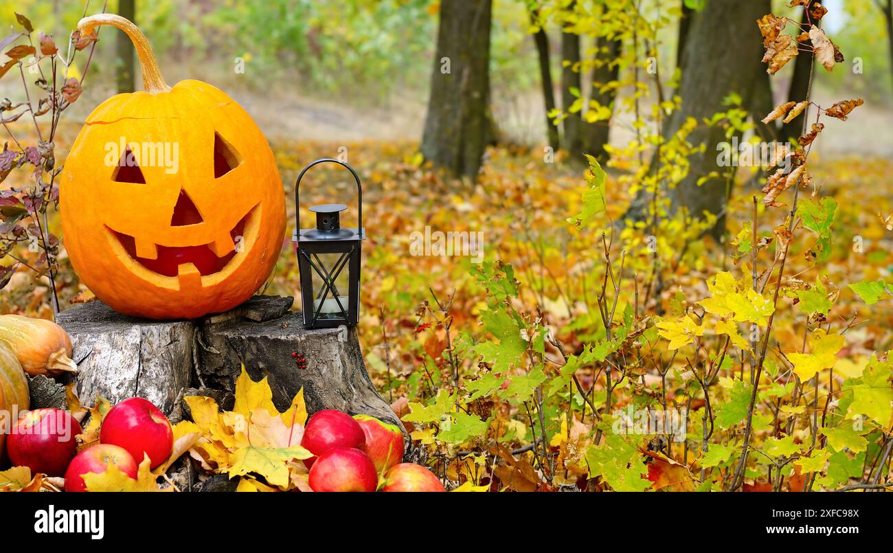 Pumpkin-head against a background of a autumn forest. Wide photo. Free ...