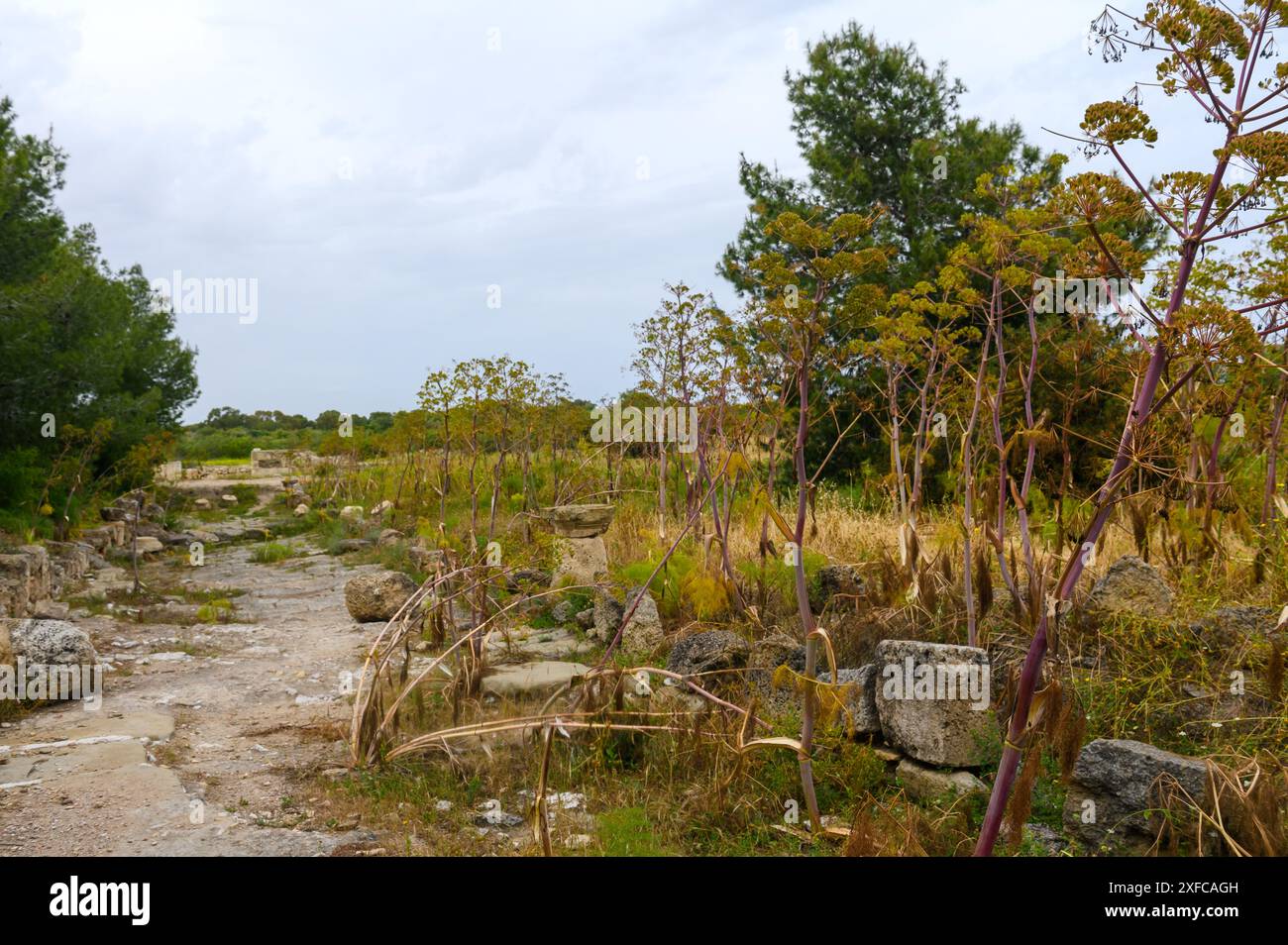 abandoned excavations in an ancient ruined city, Cyprus. bad attitude ...