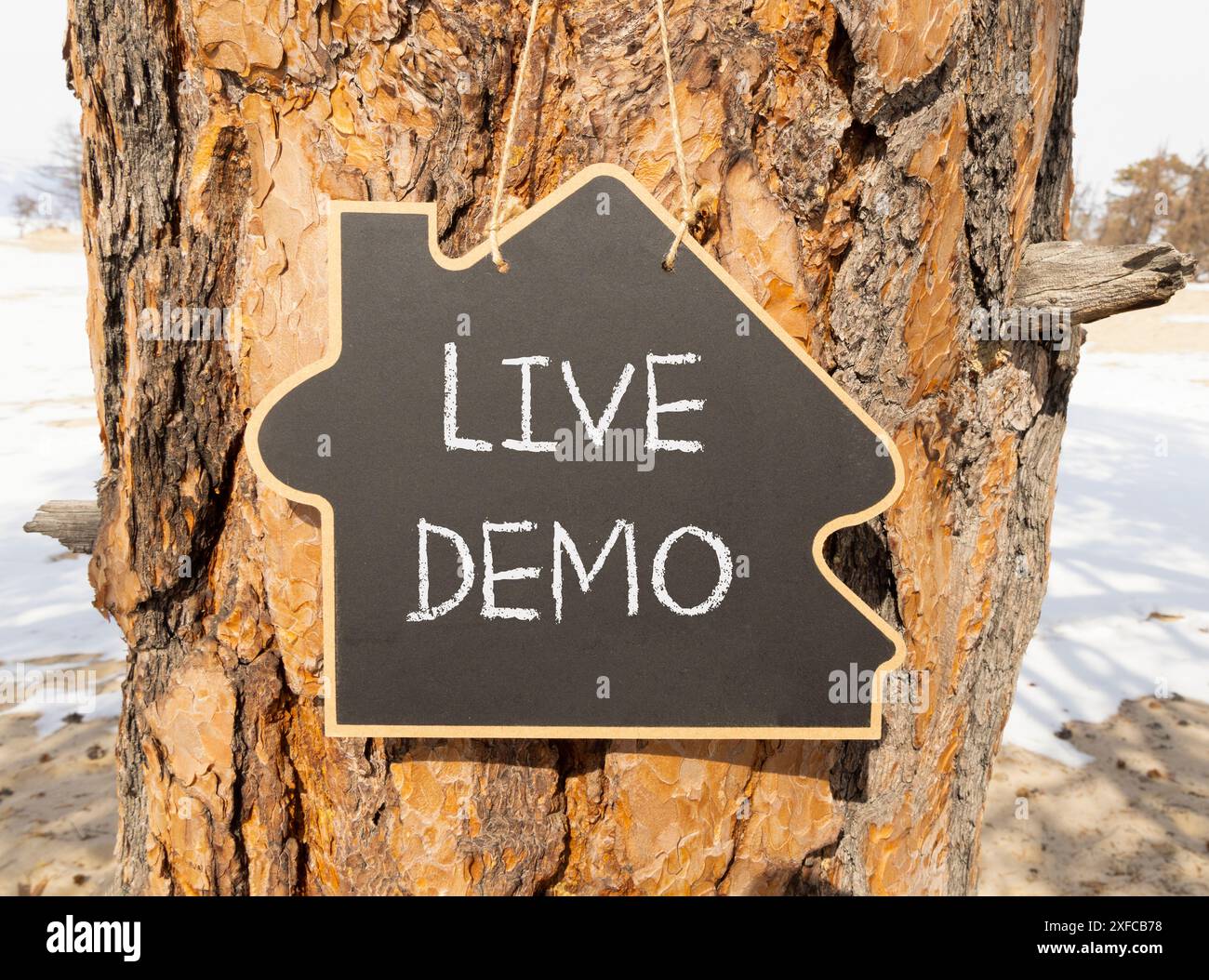 Live demo symbol. Concept words Live demo on beautiful black house ...