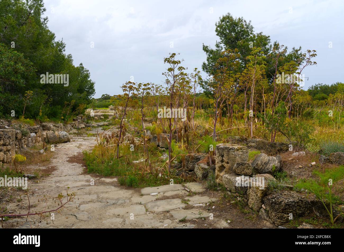 abandoned excavations in an ancient ruined city, Cyprus. bad attitude ...