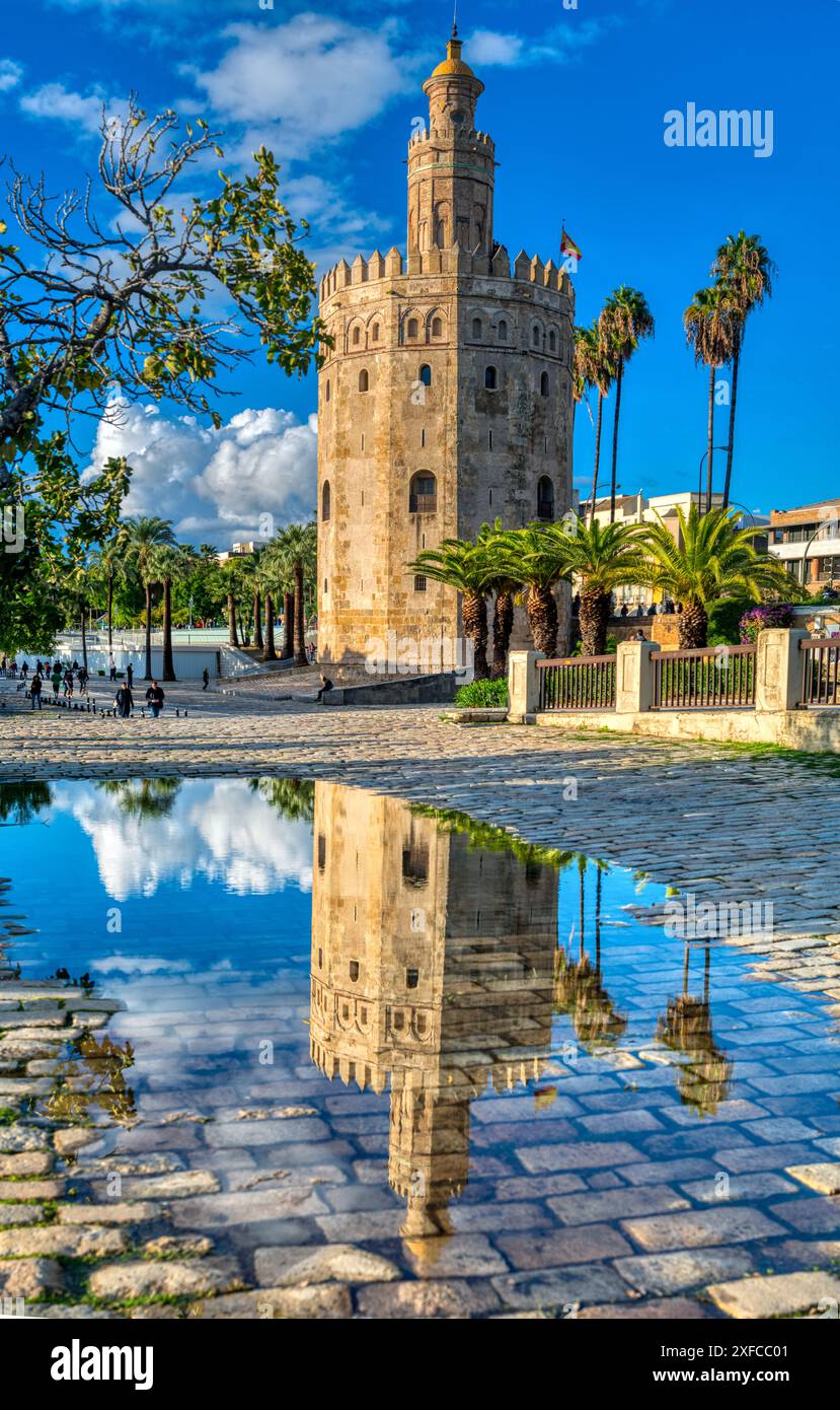 Stunning view of the Torre del Oro reflecting in a puddle after rain in ...