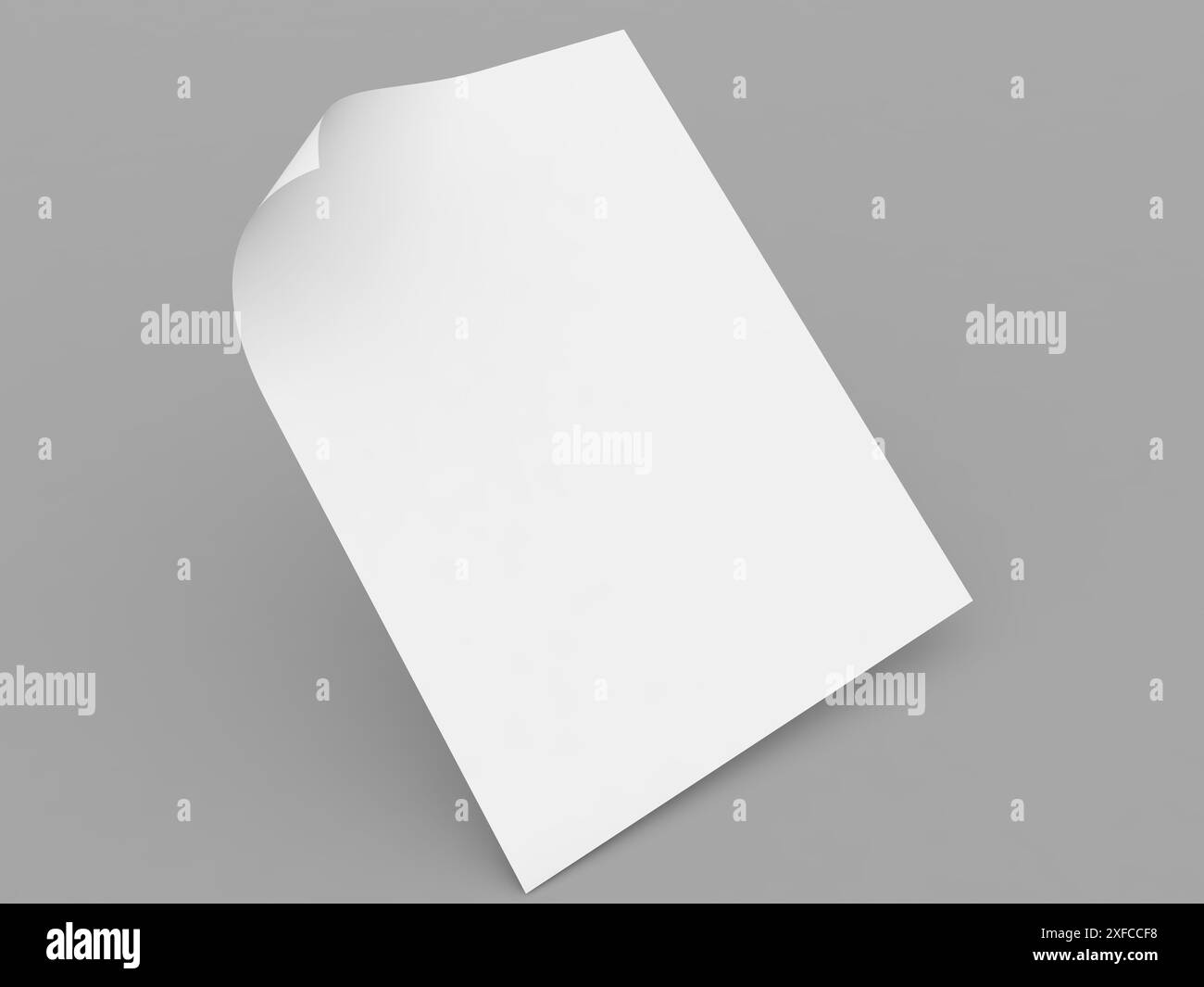 Sheet of A4 paper with a curled edge on a gray background. 3d render ...