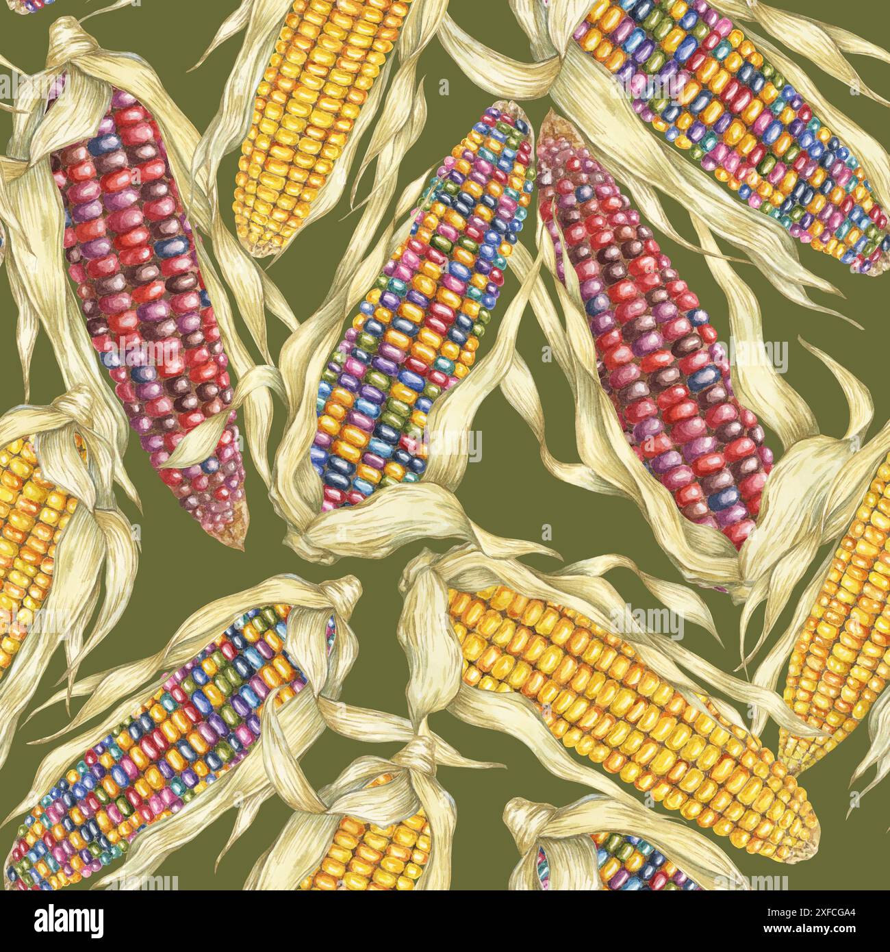 Indian heirloom and Yellow sweetcorn seamless pattern, cobs textile ...