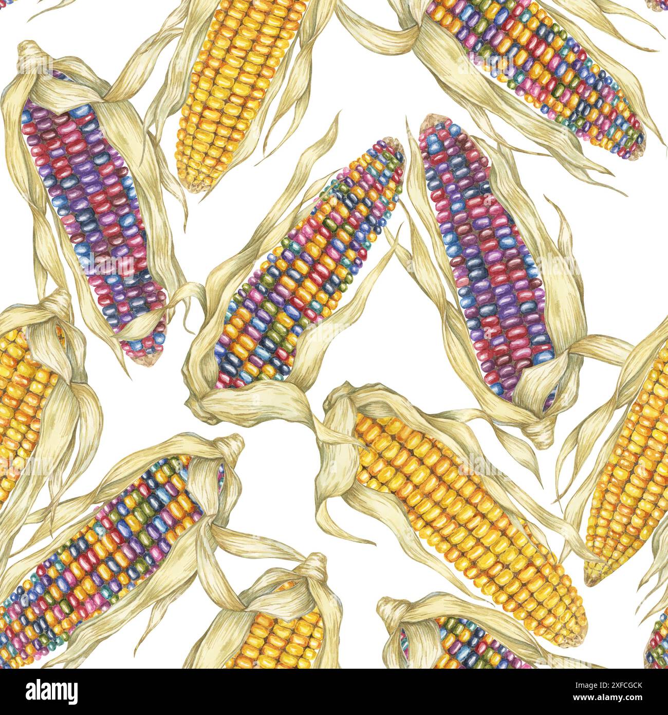 Indian heirloom and Yellow sweetcorn seamless pattern, cobs textile ...