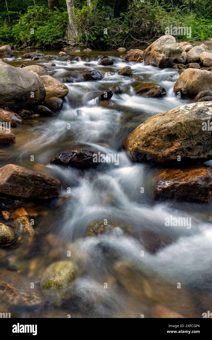 Cascade on the Davidson River near Daniel Ridge Loop Trail - Pisgah ...