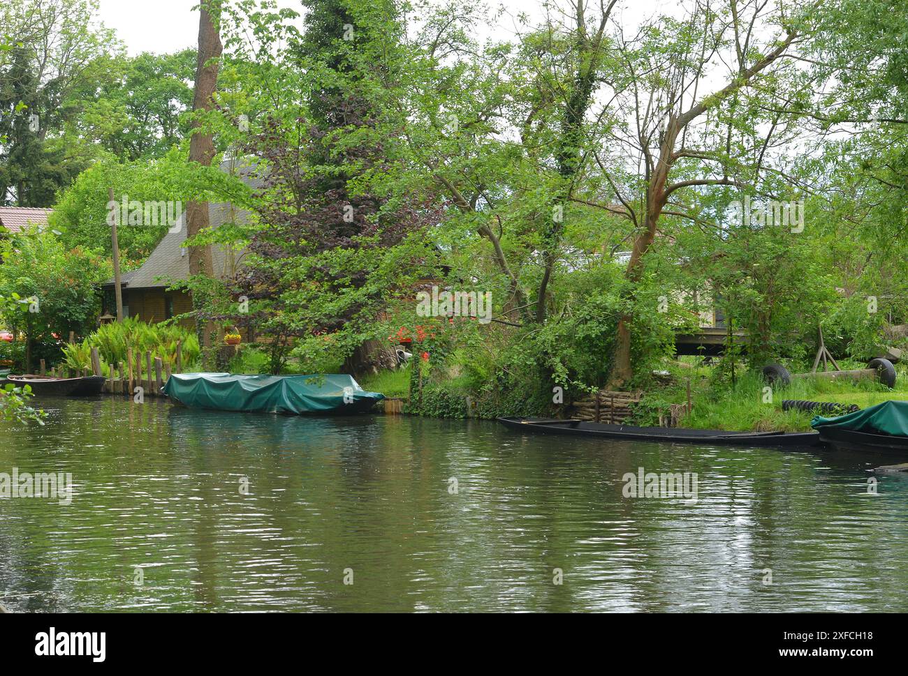 Lubbenau spreewald scenic germany hi-res stock photography and images ...