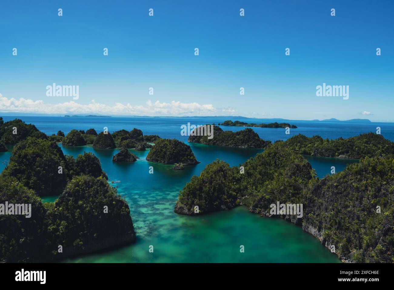 Marine biodiversity raja ampat hi-res stock photography and images - Alamy