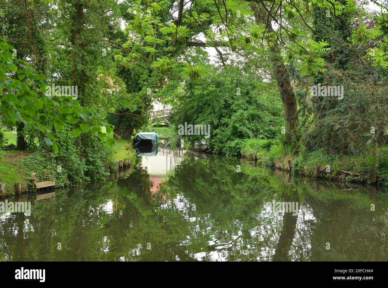 Lubbenau spreewald scenic germany hi-res stock photography and images ...