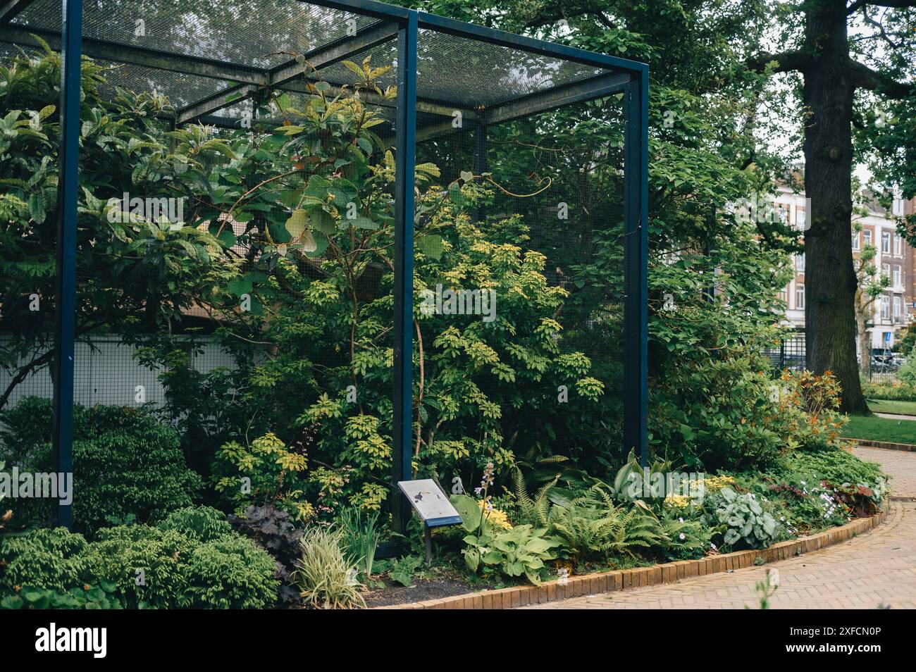 A lush garden with a large enclosure surrounded by greenery and plants ...