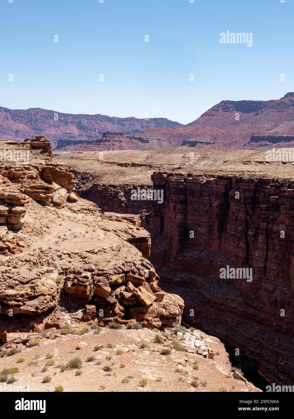 Desert Canyon Walls at Lees Ferry, Arizona Stock Photo - Alamy