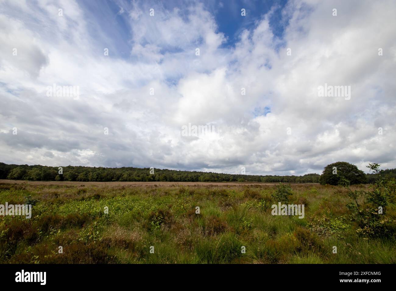 Ginkelse Heide (Ginkel Heath) was a British landing zone during ...