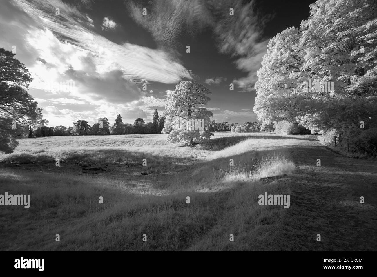 Black and white wallingford castle hi-res stock photography and images ...