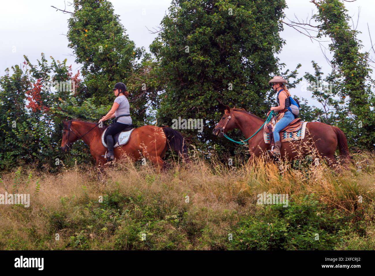 Horseback riding on a towpath of the Canal du Midi. Colombiers ...