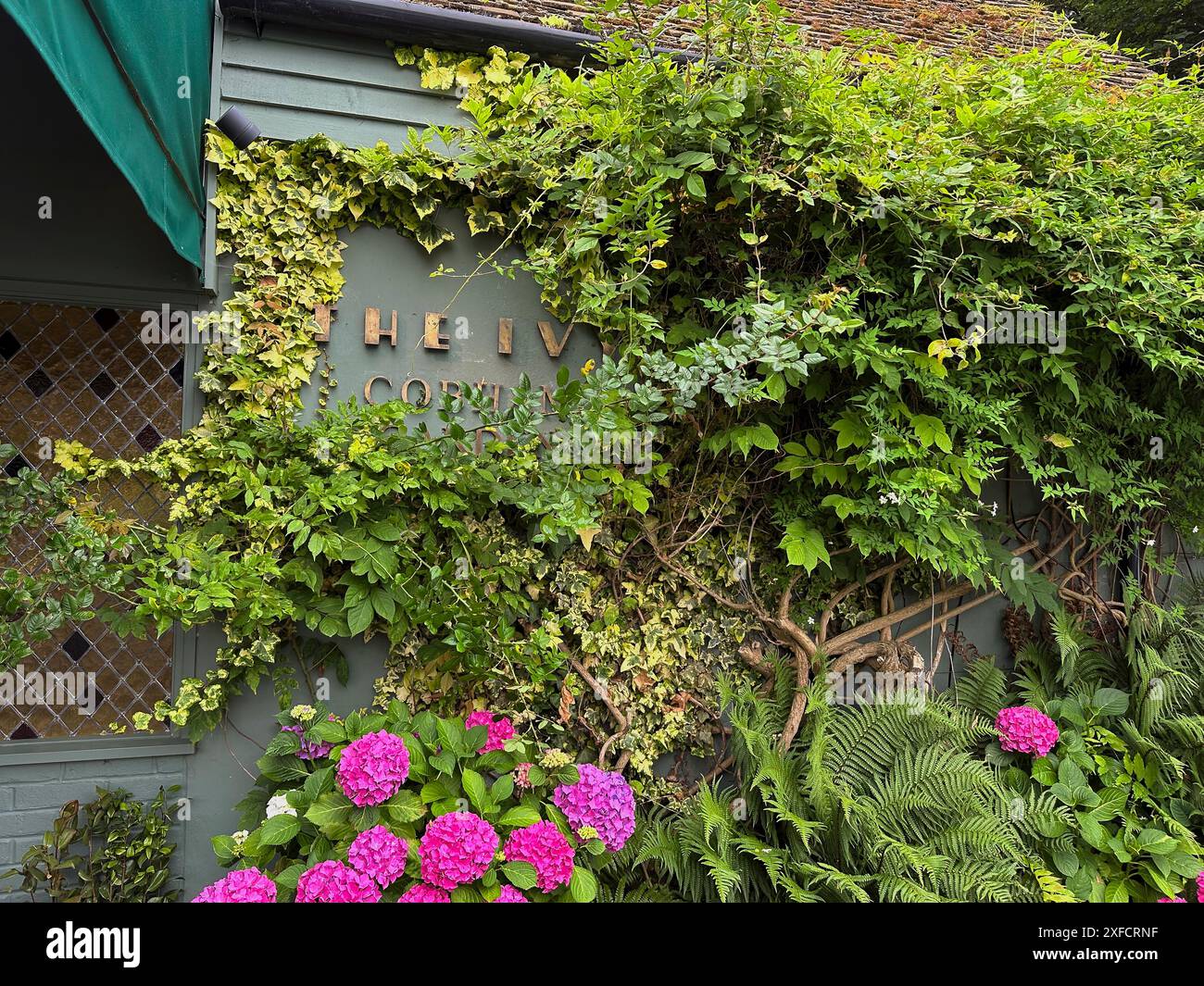 1st July, 2024 Front entrance to The Ivy Restaurant and Brasserie in ...