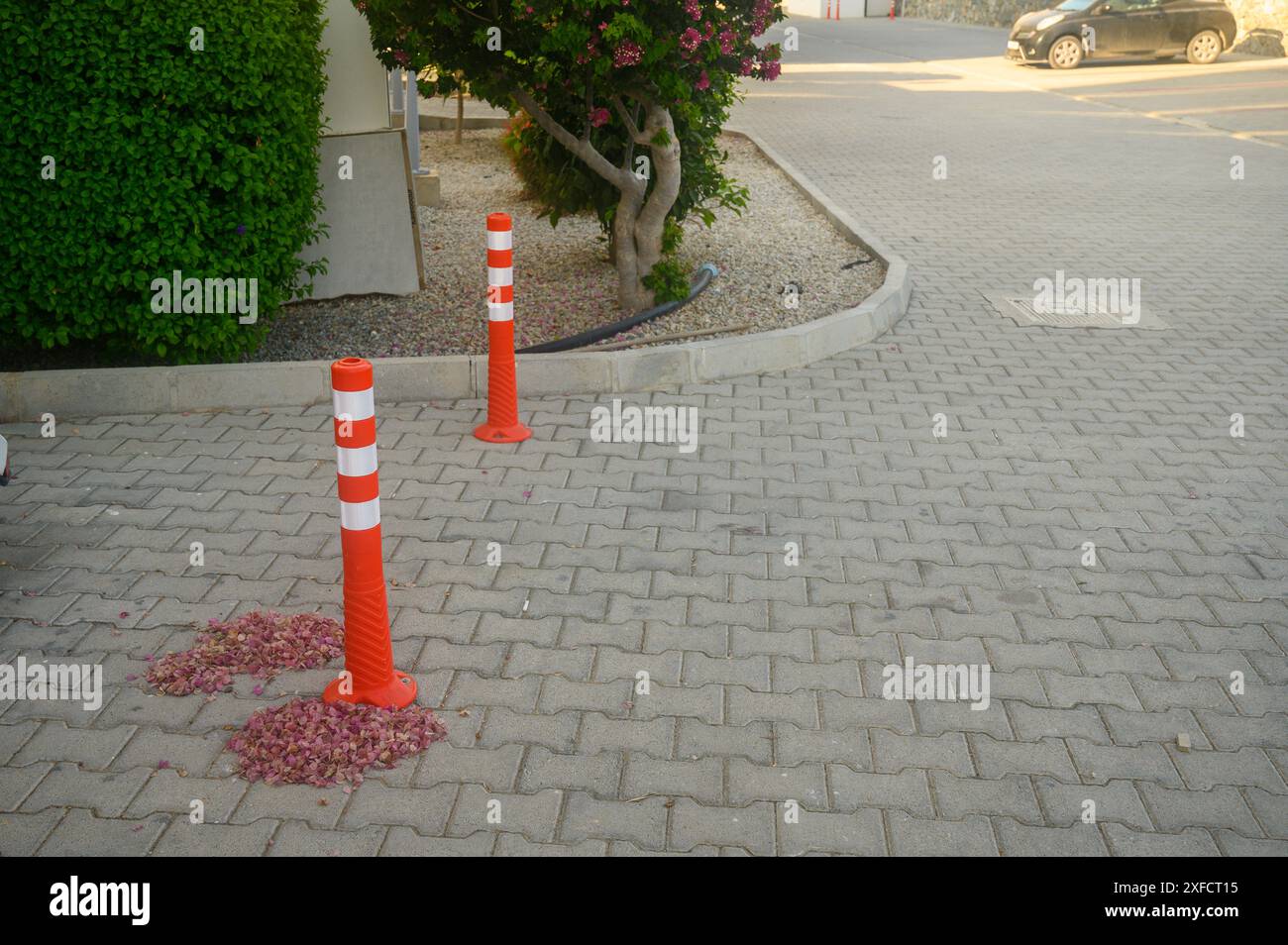 Cars parked in row close to plastic parking barrier, orange anti ...